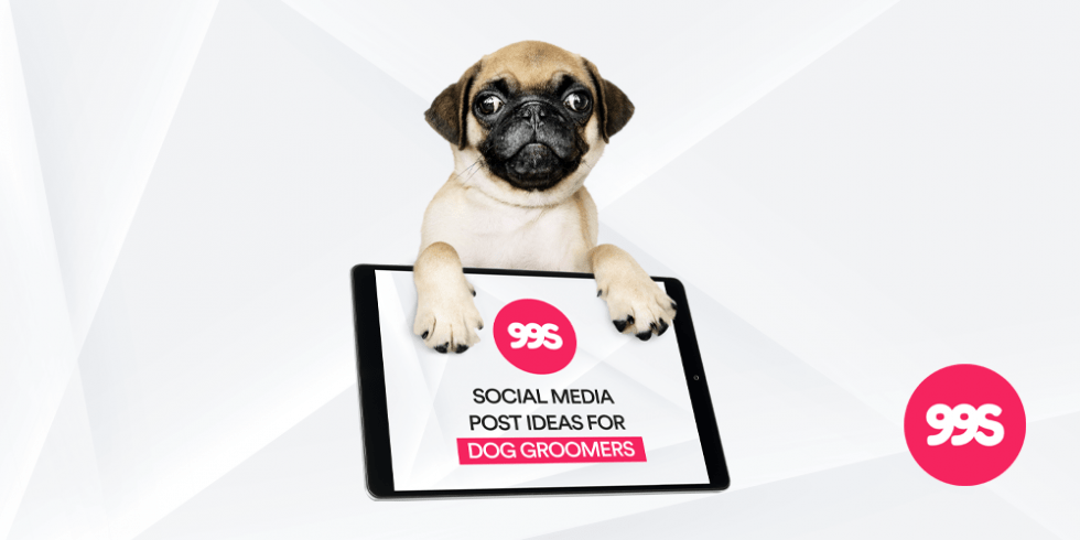 Social media post ideas for dog groomers - 99social